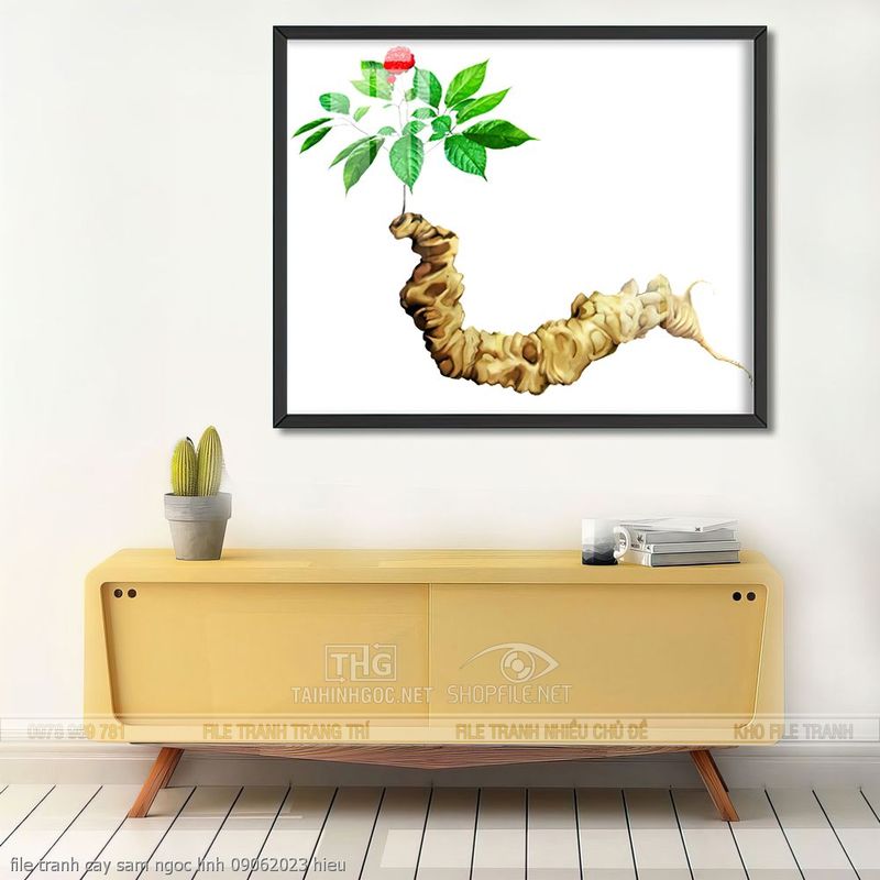 file tranh cay sam ngoc linh 09062023 hieu