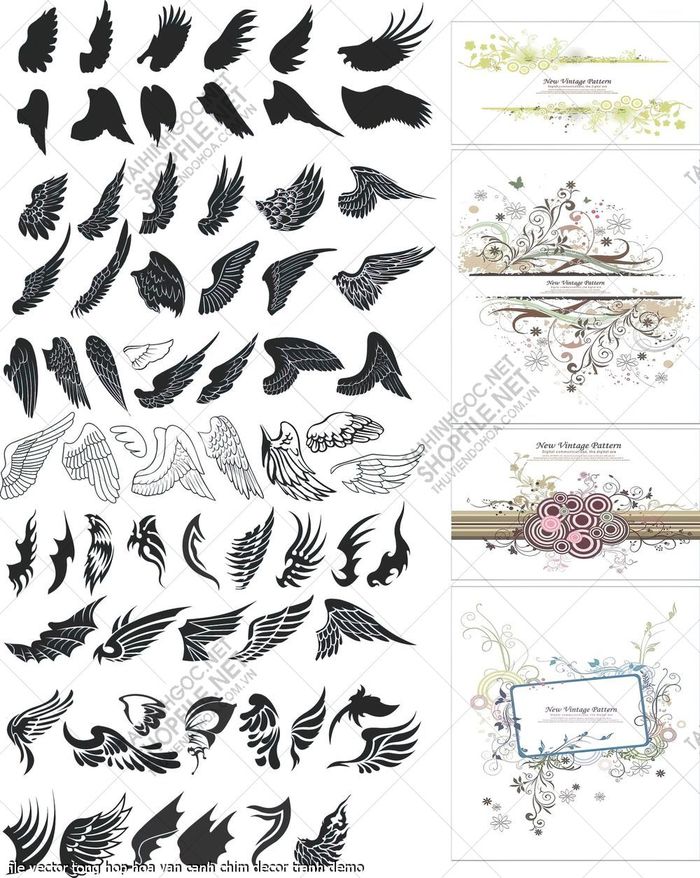 file vector tong hop hoa van canh chim decor tranh