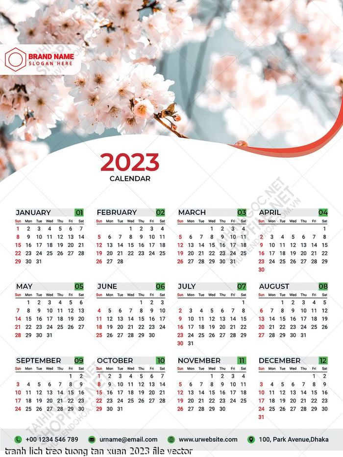 Layout bìa lich tết file PSD